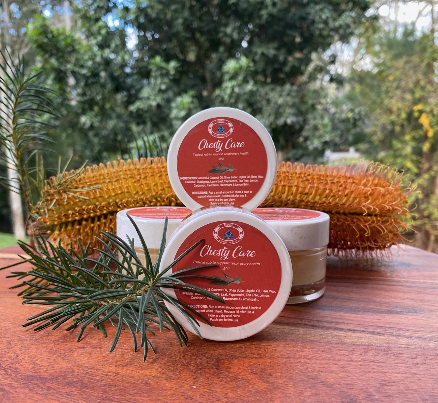 CHESTY CARE RUB – Iconic Essential Oils