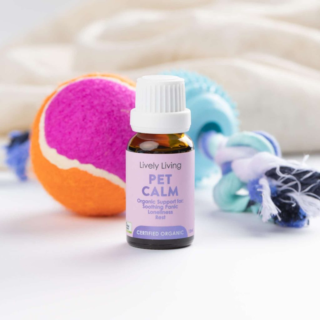 PET CALM 15ML – Iconic Essential Oils